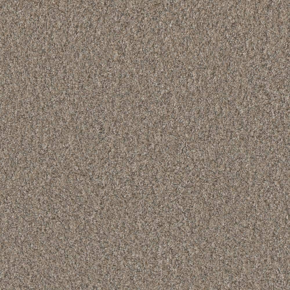 Lifeproof Manuscript III -Publish Beige -65 oz. SD Polyester Texture ...