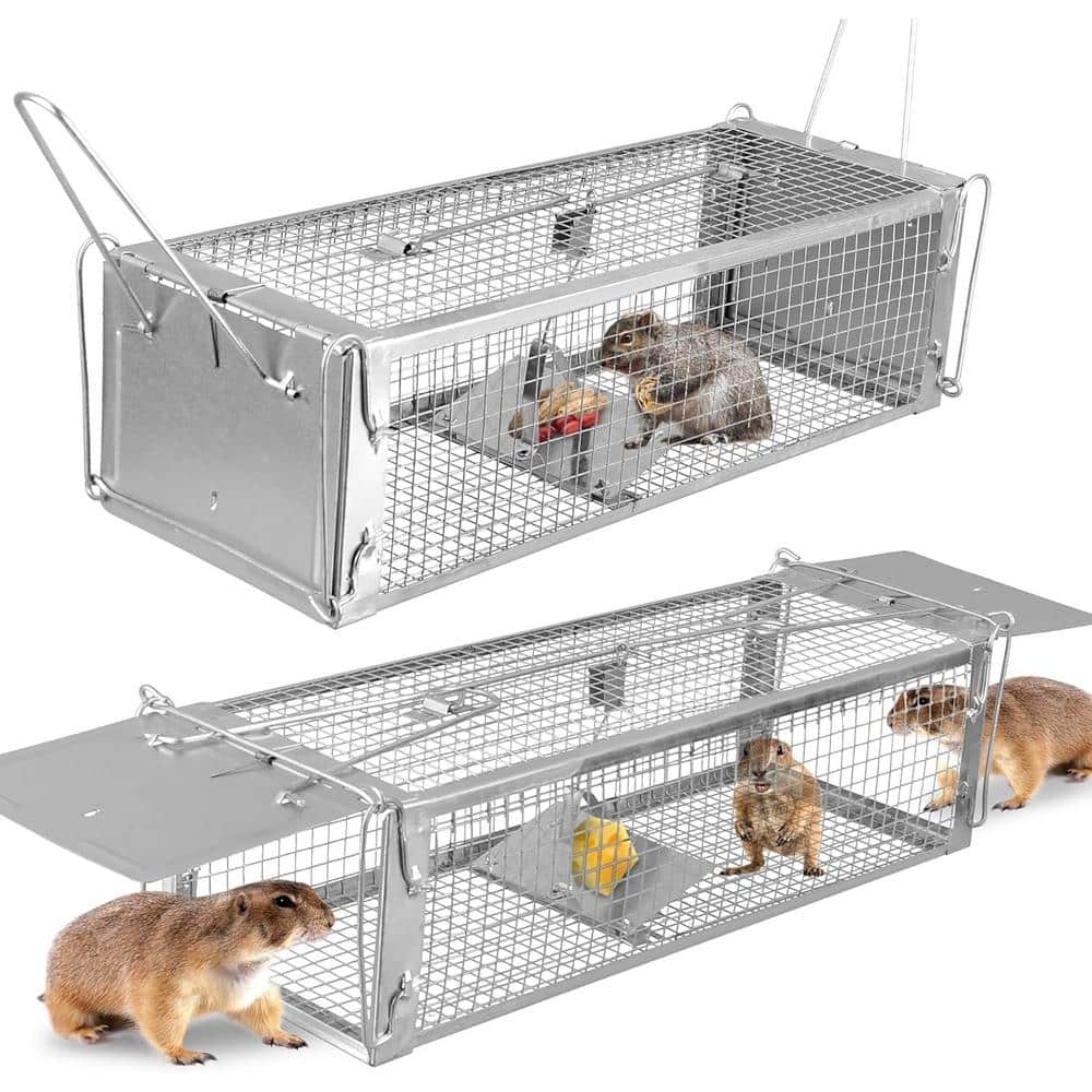 ATENGNES Humane Live Rat Trap Cage Dual Door Live Rat Traps Rodent ...