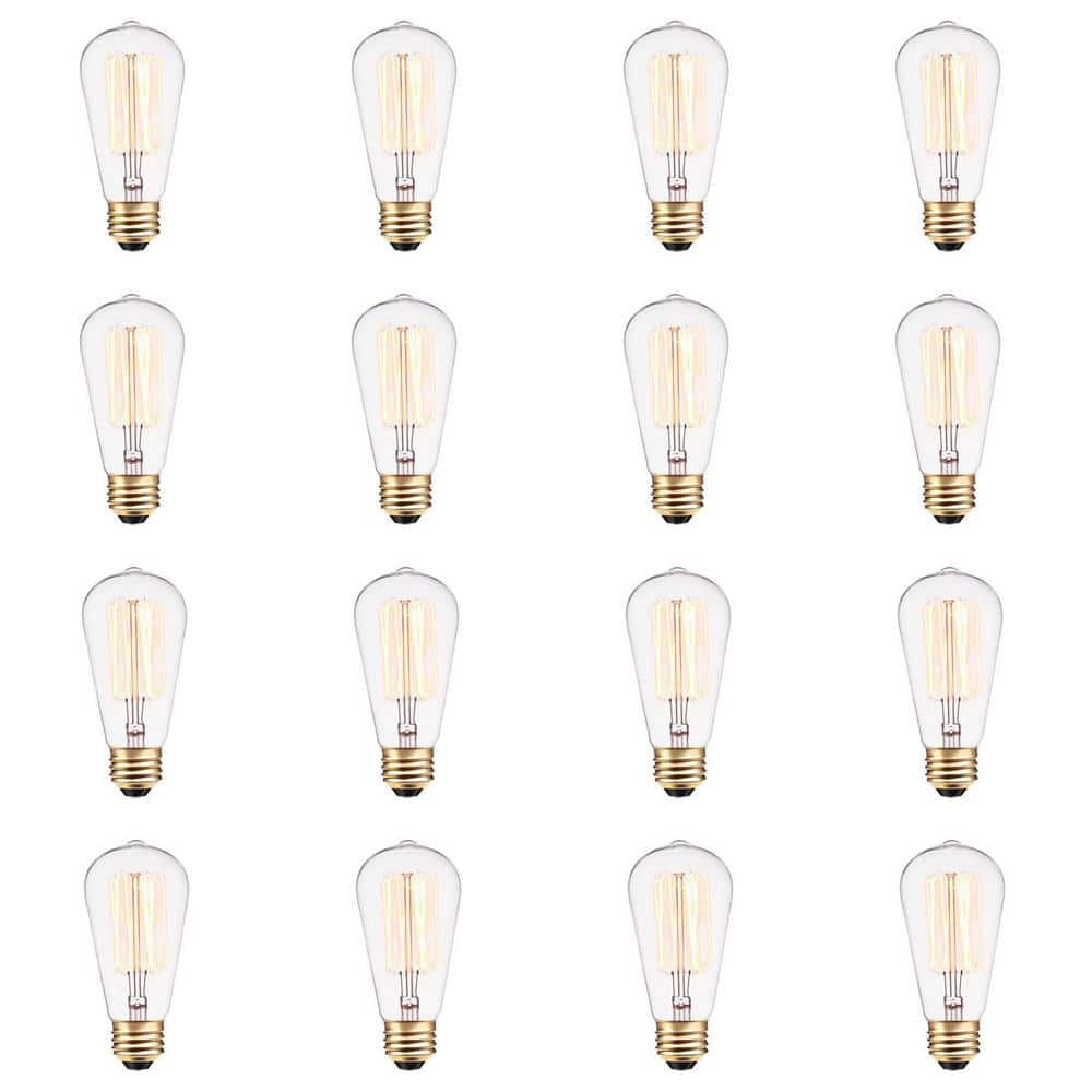 Globe Electric 60 Watt S60 Dimmable Cage Filament Vintage Edison ...