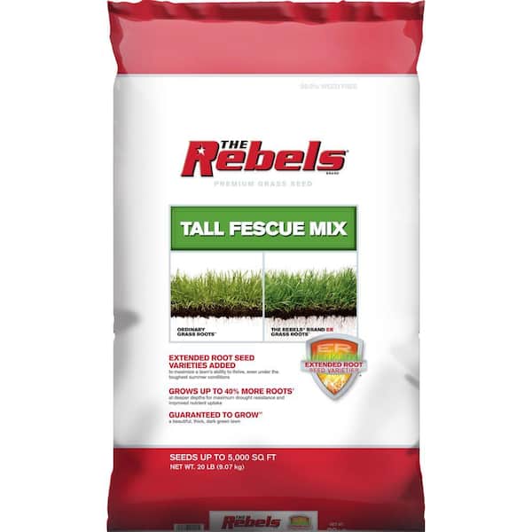 Reviews for The Rebels 20 lbs. Tall Fescue Grass Seed Mix | Pg 5 - The ...