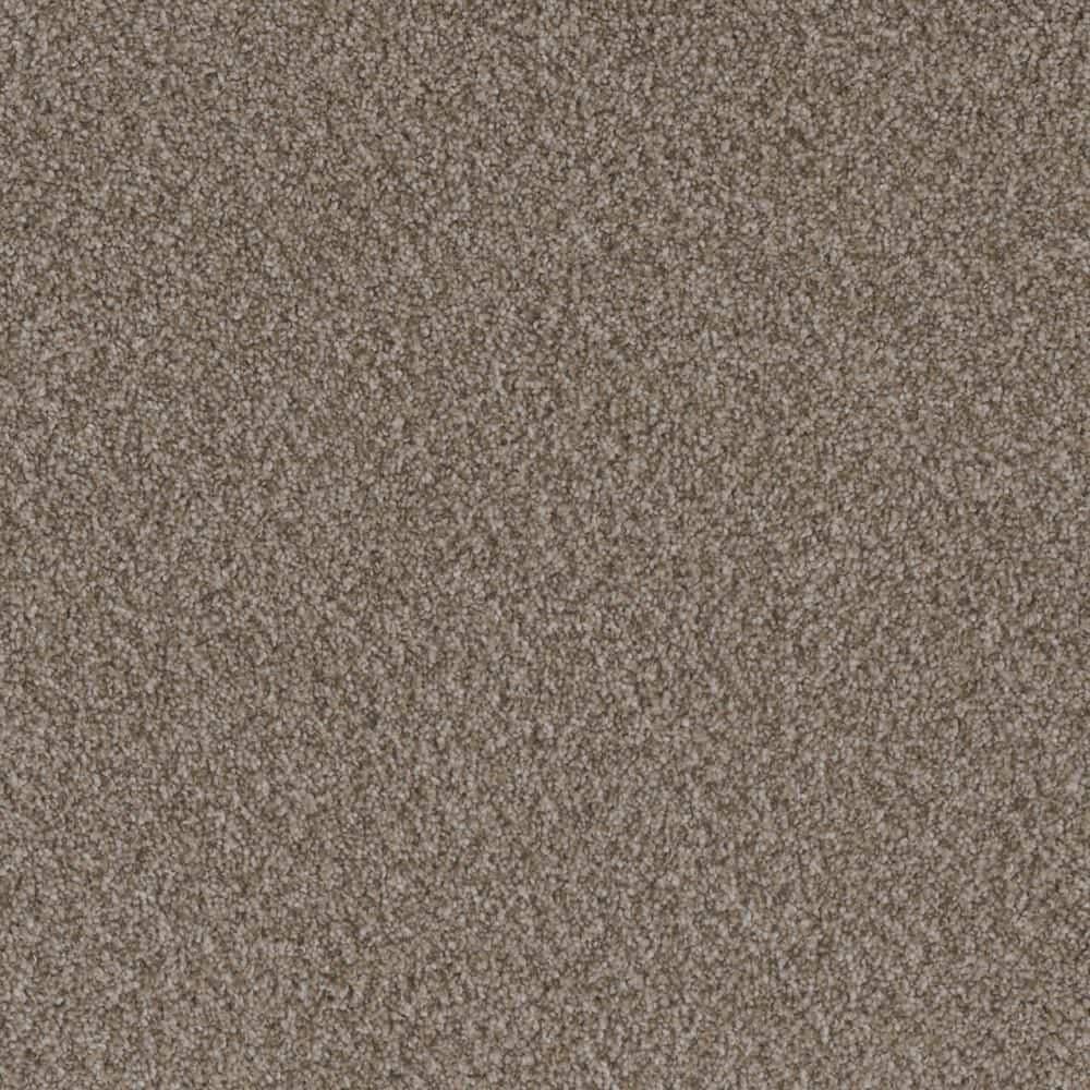 Home Decorators Collection 8 in. x 8 in. Texture Carpet Sample ...