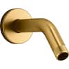 KOHLER Statement Shower Arm and Flange in Vibrant Brushed Moderne Brass ...