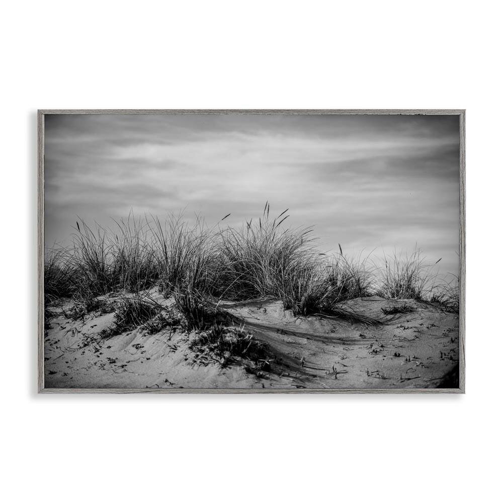 Stupell Industries Point Reyes Beach Dunes by Crystal Lynn Collins Gray ...