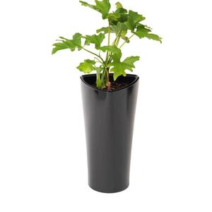 XBRAND 22.4 in. H Black Plastic Self Watering Indoor Outdoor Triangle ...
