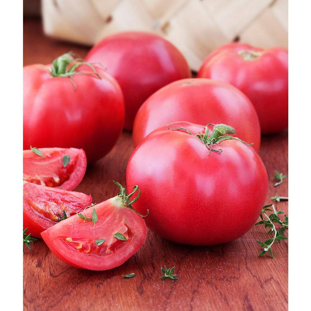 Pink Heirloom Tomato