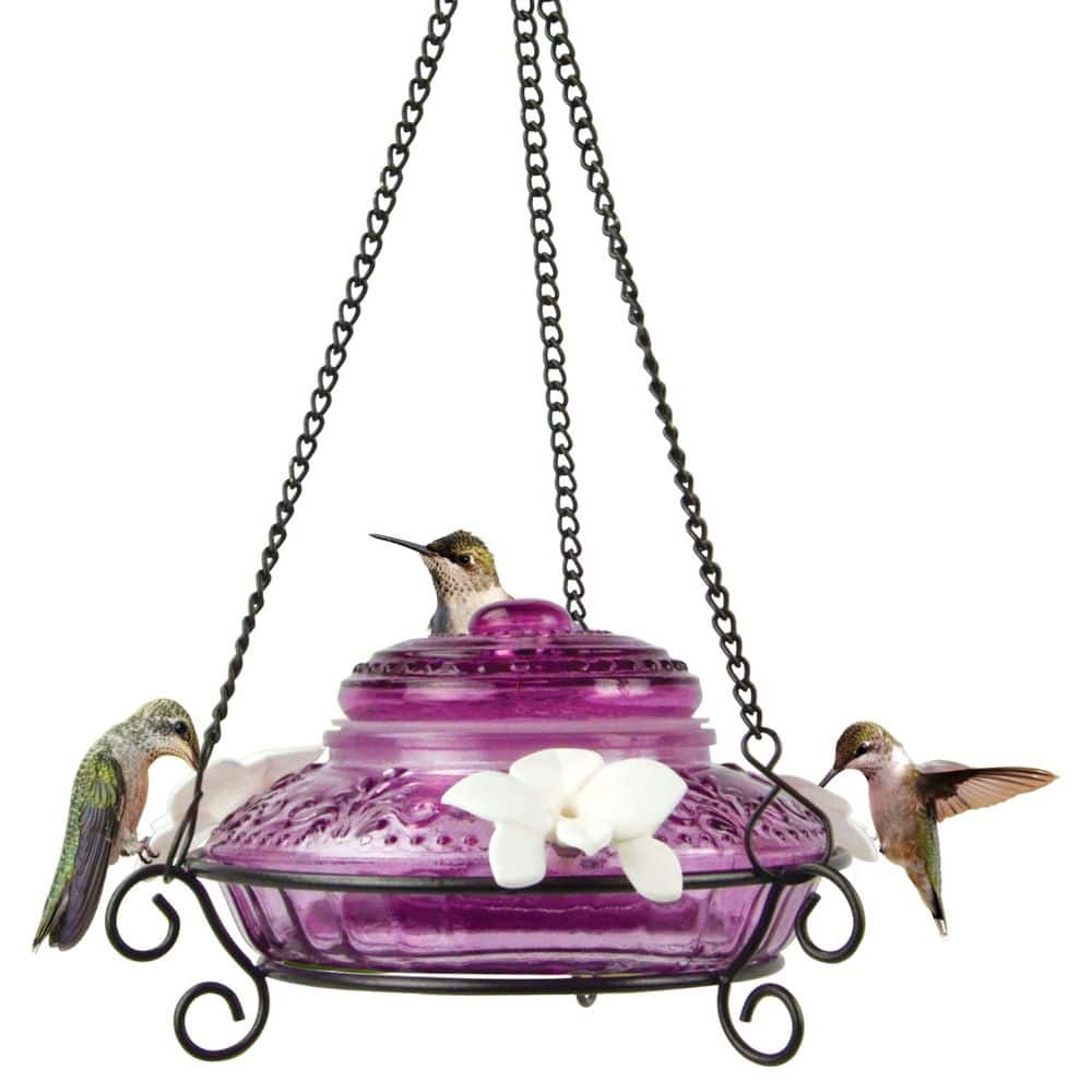 Nature's Way Plum Antique Top-Fill Hummingbird Glass Feeder 14 oz ...