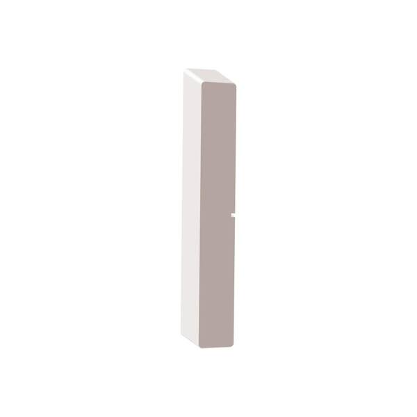 HOUSE OF FARA 11/16 in. D x 3-1/2 in. W x 90 in. L Primed Pine Wood PFJ ...