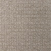 TrafficMaster 8 in. x 8 in. Pattern Carpet Sample - Tailgate Classic ...