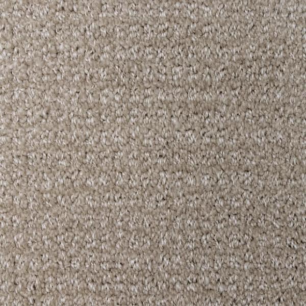 TrafficMaster 8 in. x 8 in. Pattern Carpet Sample - Tailgate Classic ...