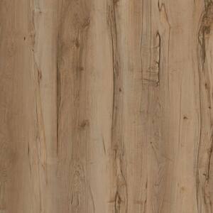 Lifeproof Take Home Sample - Shire Mount Maple Click Lock Waterproof ...