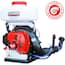 Tomahawk Power 5 Gal. Gas Power Backpack Sprayer with Foundation Gun ...