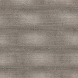 Lifeproof 8 in. x 8 in. Loop Carpet Sample - Thornbrook -Color Delano ...