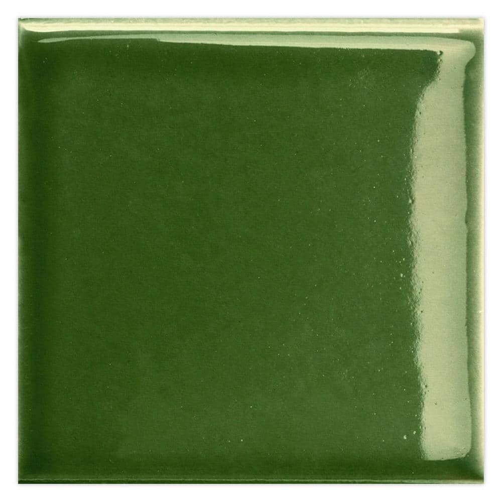 Apollo Tile Terralis 2 in. x 2 in. Glossy Deep Forest Green Porcelain ...