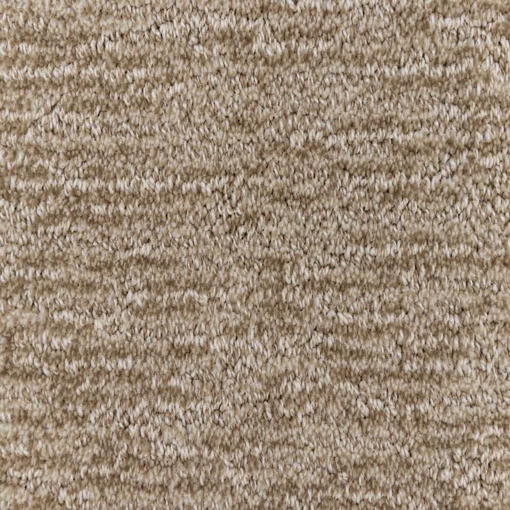 Home Decorators Collection 8 in. x 8 in. Pattern Carpet Sample ...