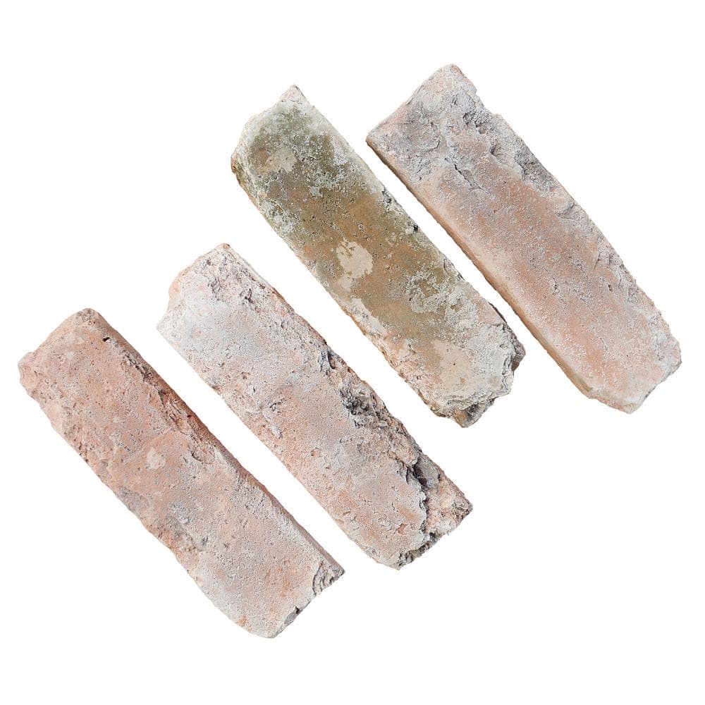 Koni Brick Old Chicago Pueblo Bonito 8.20 in. x 2.50 in. Thin Brick 10. ...