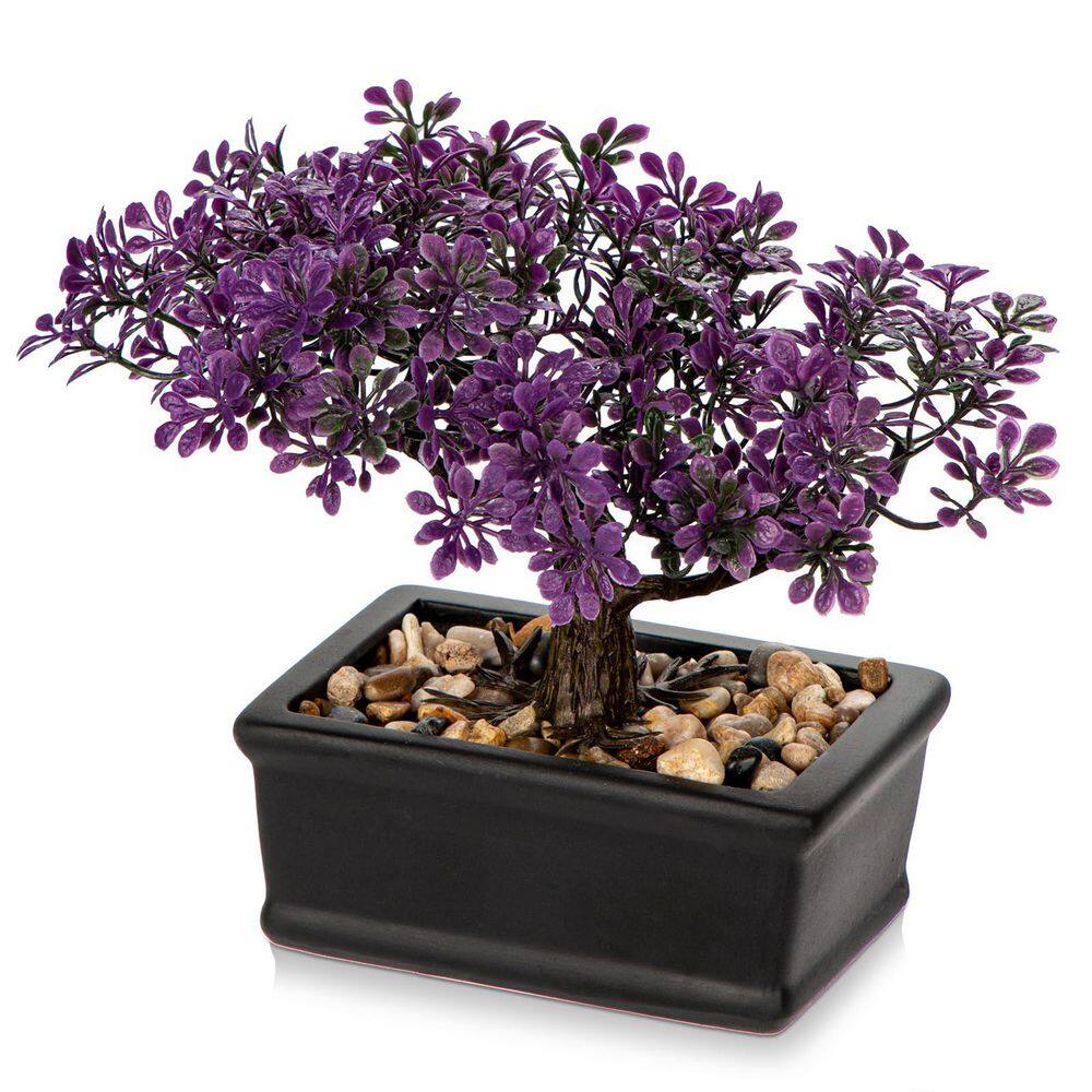 0.5 ft. Artificial Purple Juniper Bonsai Tree in Black Ceramic Pot ...