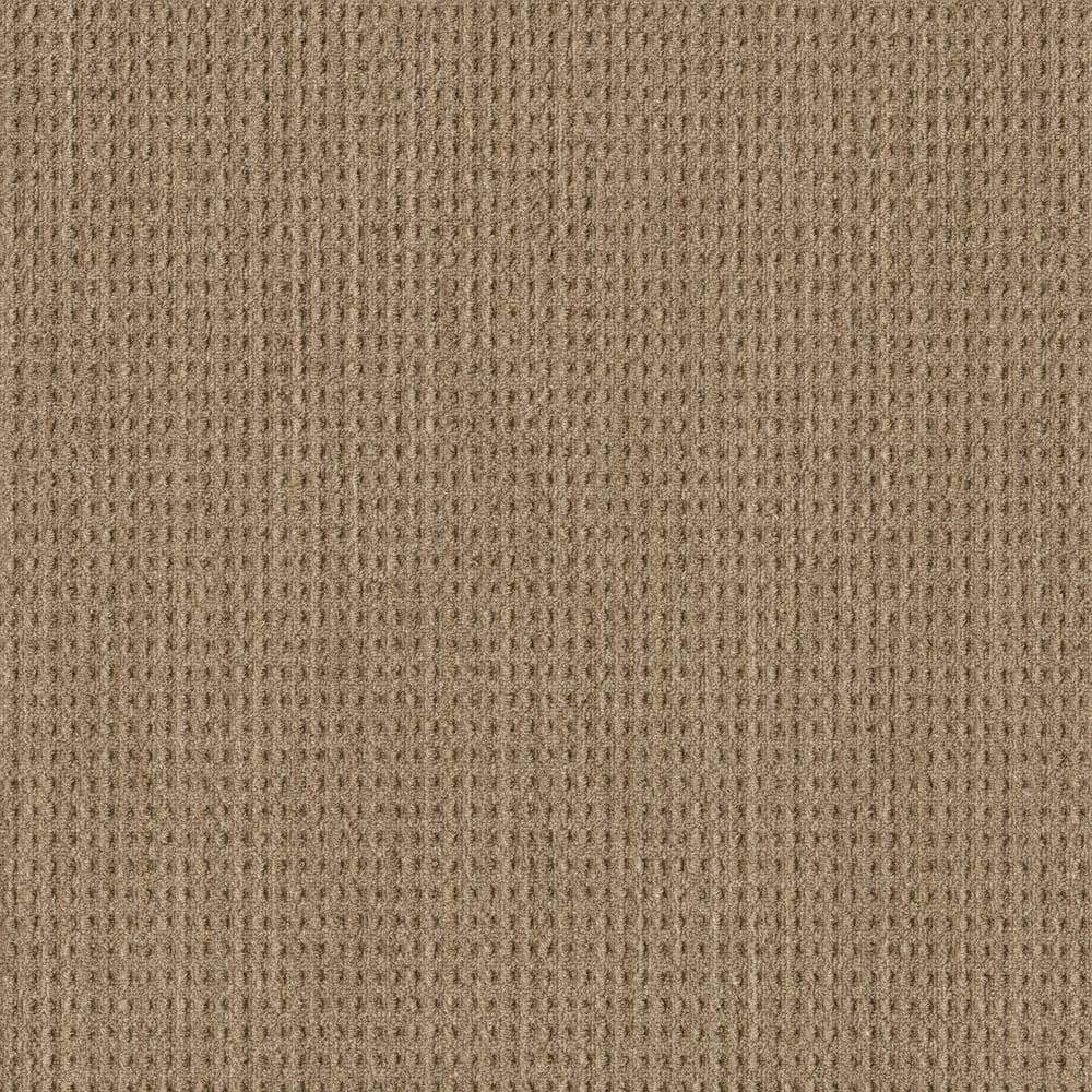 Lifeproof 8 in. x 8 in. Pattern Carpet Sample - Sicily - Color Warmth ...