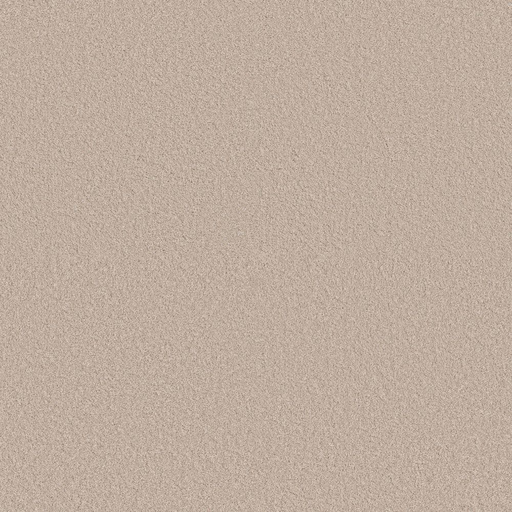 Home Decorators Collection 8 in. x 8 in. Texture Carpet Sample ...