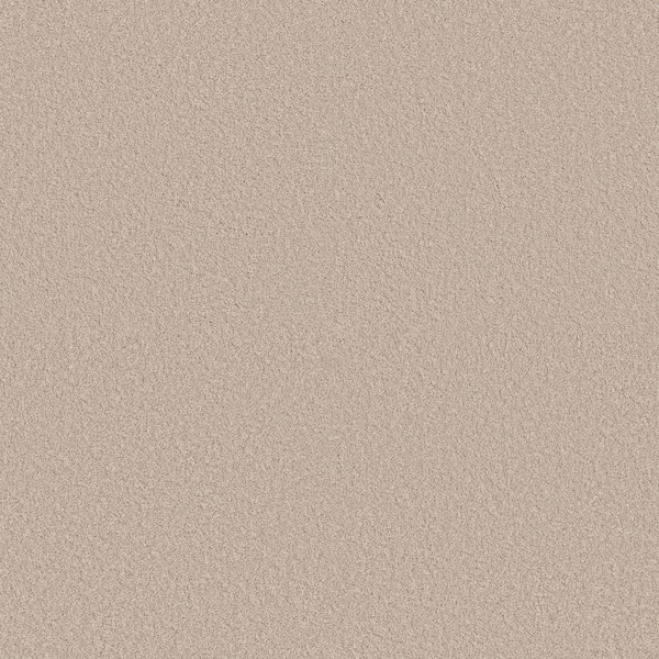 Home Decorators Collection 8 in. x 8 in. Texture Carpet Sample ...