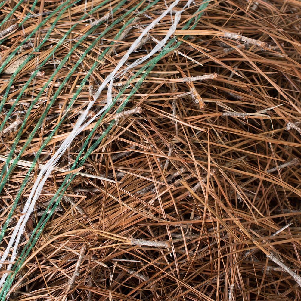 national PLANT NETWORK Long Leaf Pine Straw Bale HD1379 - The Home Depot