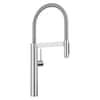 Blanco Culina II Single Handle Pull Down Sprayer Kitchen Faucet in PVD ...