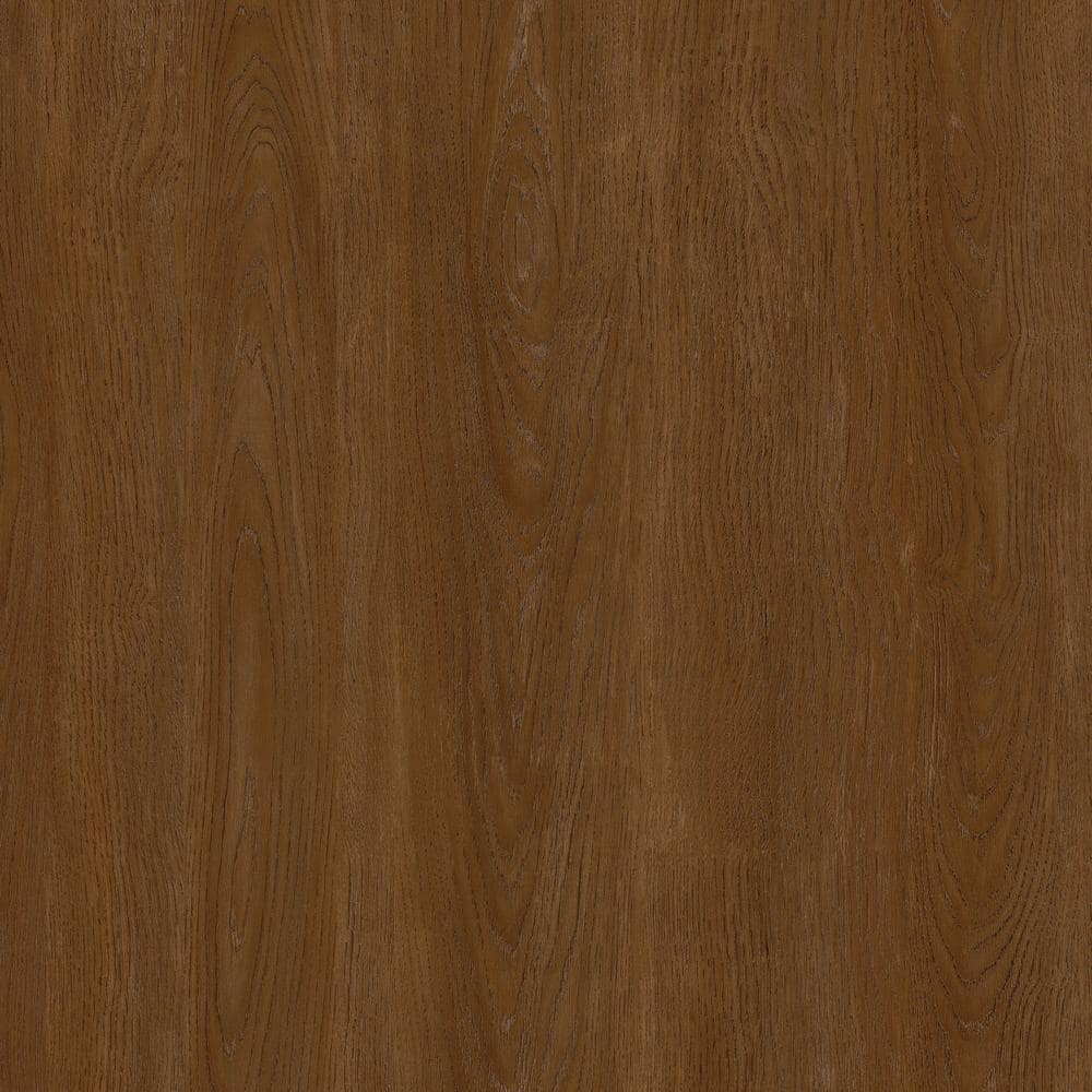 Verge Pro Toasted Carob 20 MIL x 7 in. W x 48 in. L Glue Down ...