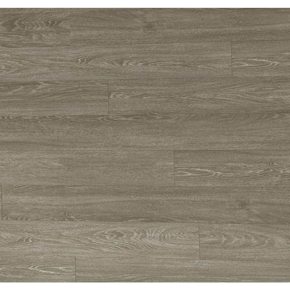 Floorlot Take Home Sample - SelectStep Grove 22 MIL x 7 in. W x 8 in. L ...