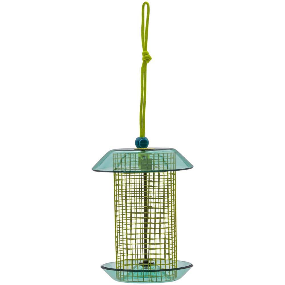 BIRDS choice Small Sunflower Seed Feeder Color Pop Collection in Teal ...