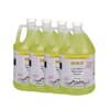 MMR Professional 1-gal. Instant Mold and Mildew Stain Remover (4-Pack ...