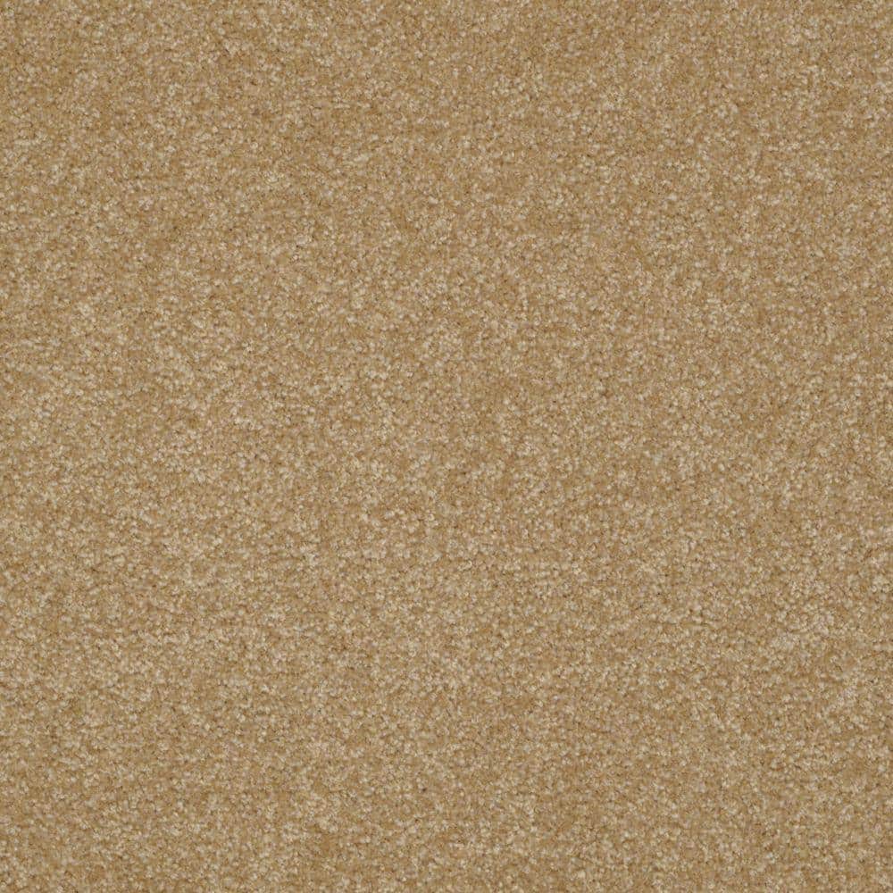 Rapturous II - Color Marzipan 12 ft. Carpet HDB5454201 - The Home Depot