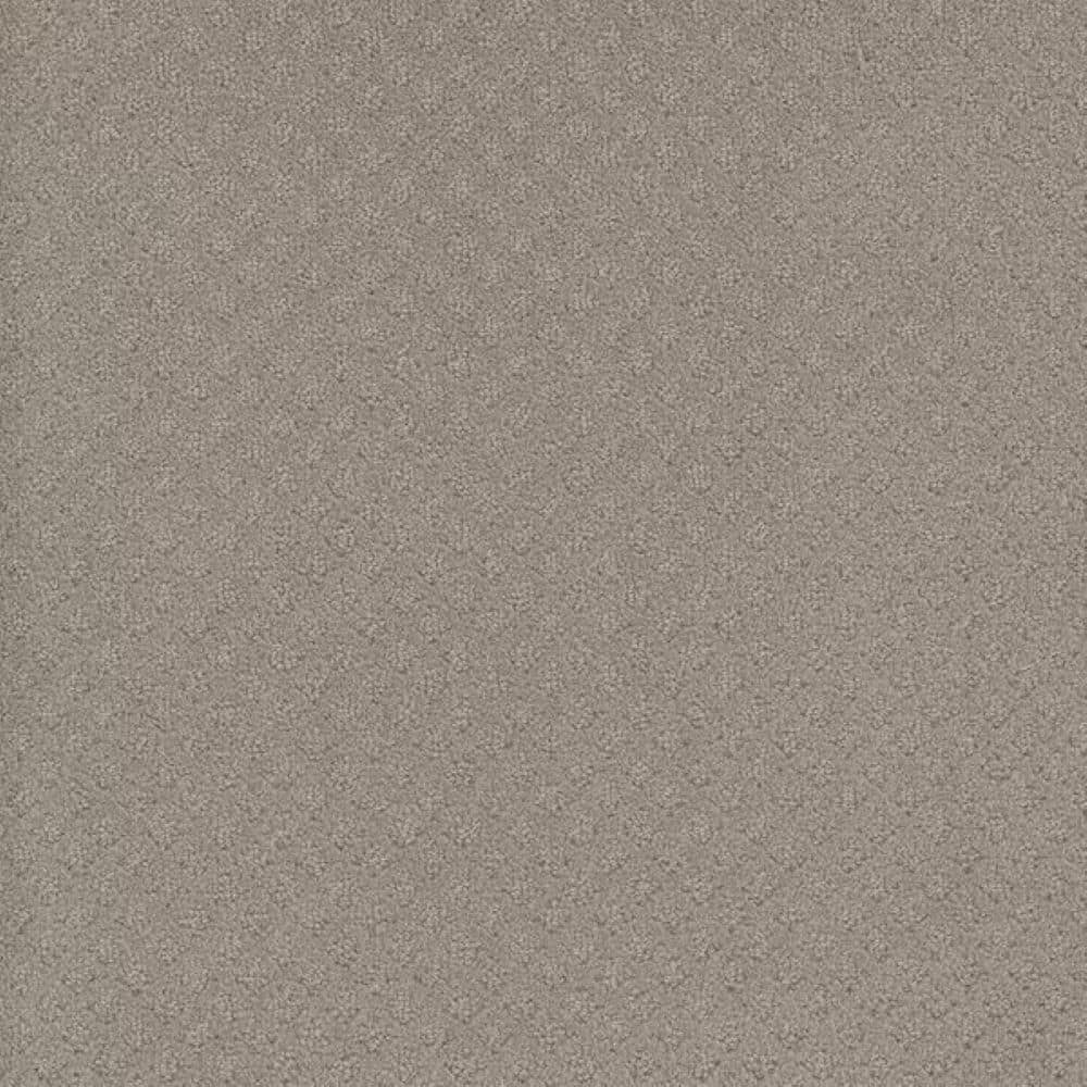 TrafficMaster 8 in. x 8 in. Pattern Carpet Sample-Bell Loop-Color Clang ...