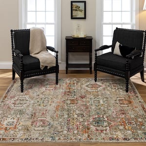 Home Decorators Collection Medallion Multi 7 ft. 10 in. x 10 ft. Indoor ...