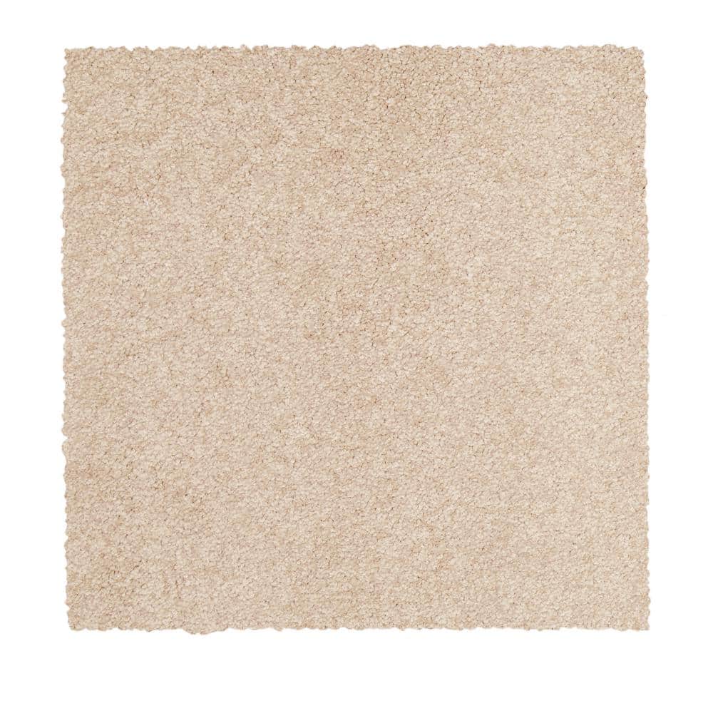 Lifeproof Carpet Sample - Collinger II - Color Traditional Texture 8 in ...