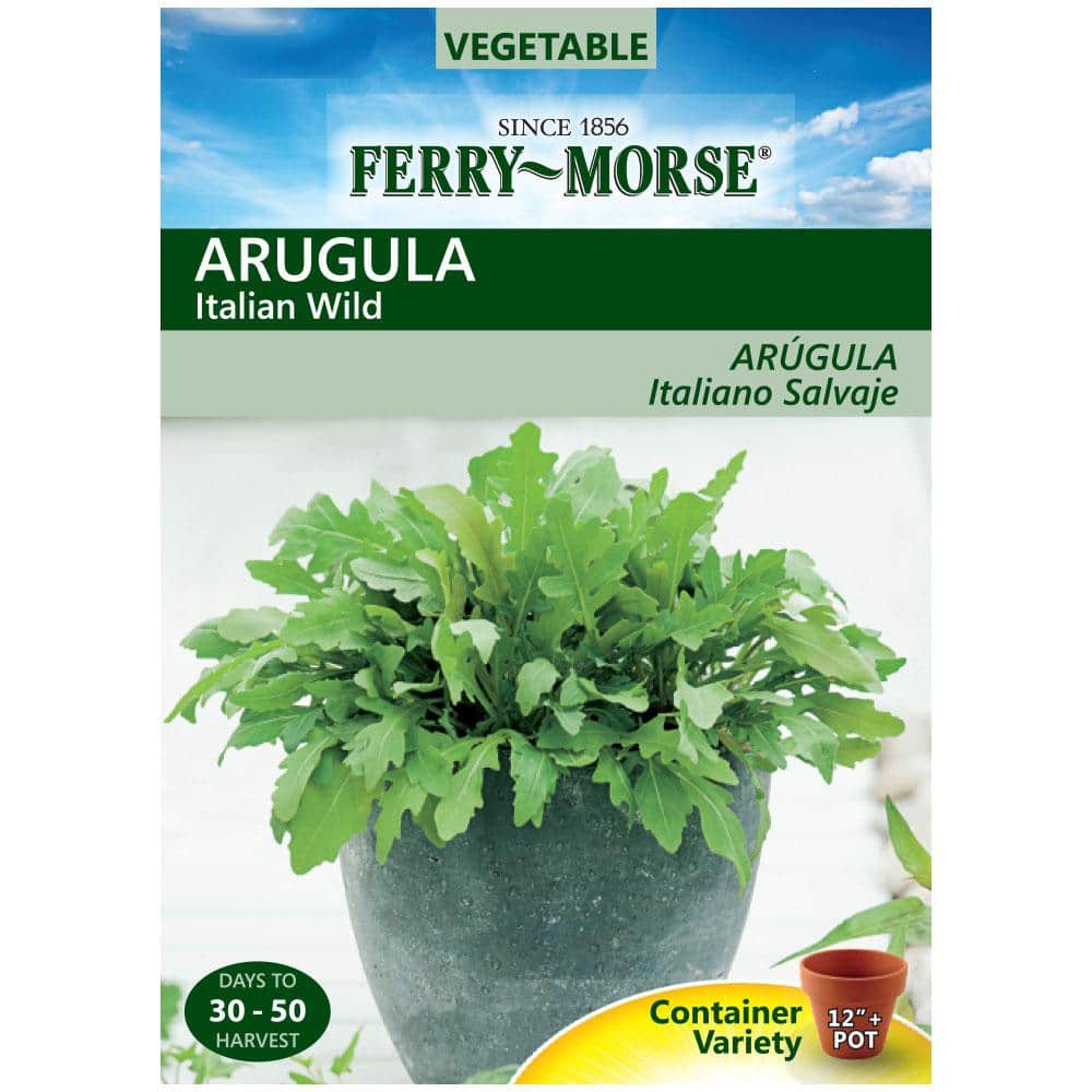 Ferry-Morse Arugula Italian Wild Seed 0824 - The Home Depot