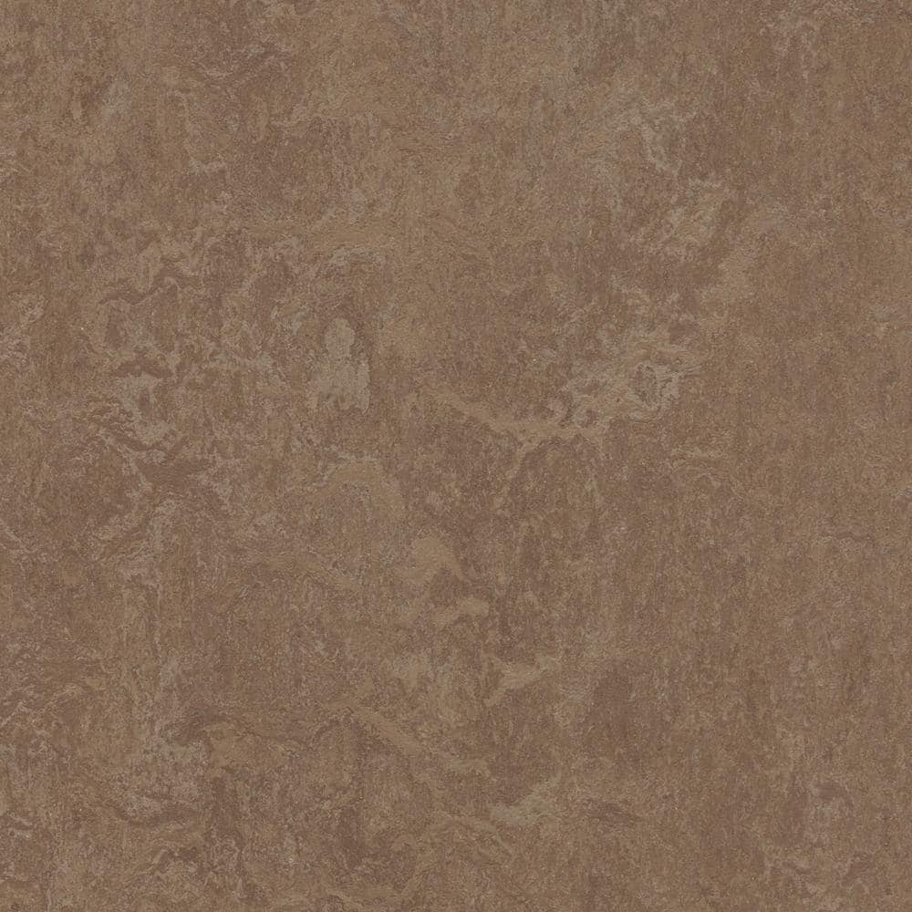 Marmoleum Cinch Loc Seal Clay 9.8 mm T x 11.81 in. W x 11.81 in. L ...