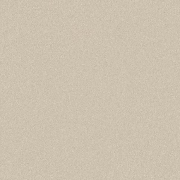 Shaw 8 in. x 8 in. Texture Carpet Sample-Park Royal II-Color Snow Cream ...