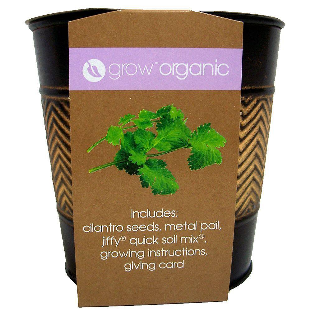 Ferry-Morse Grow Organic Cilantro Kit 6403 - The Home Depot