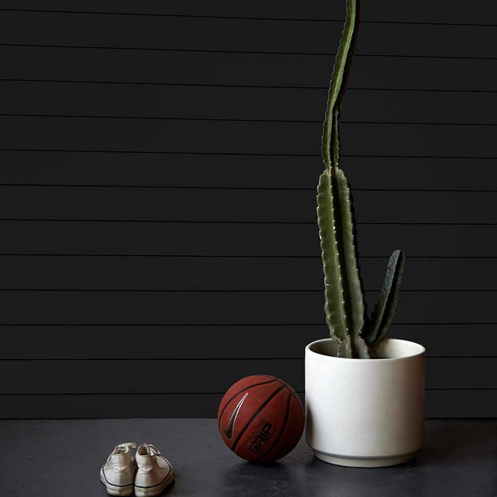 Timeline Wood 3/8 in. x 5.5 in. x 72 in. 16.5 sq. ft.. True Black ...