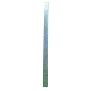Simpson Strong-Tie MSTI 48 in. 12-Gauge Galvanized Medium Strap Tie ...
