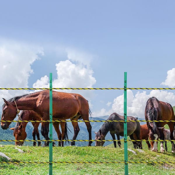 SVOPES Electric Fence Wire 1640 ft. 500m Polywire 1/8 in. Diameter 6 ...