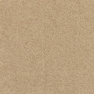 Home Decorators Collection 8 in. x 8 in. Texture Carpet Sample ...
