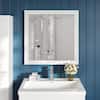 Eviva Sun 30 in. W x 30 in. H Framed Round Bathroom Vanity Mirror in ...