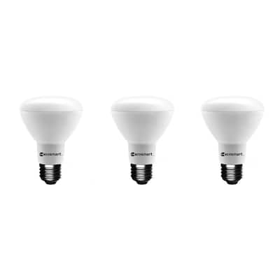 BR20 - LED Light Bulbs - Light Bulbs - The Home Depot