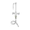 T&S 2-Handle Laboratory Faucet with Vacuum Breaker in Chrome BL-5700-08 ...