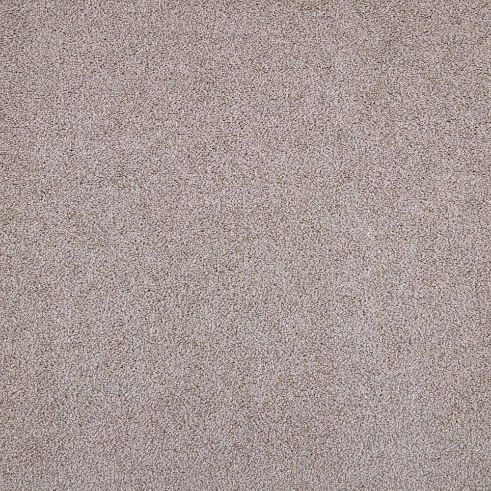 Mohawk 8 in. x 8 in. Texture Carpet Sample - Playful Moments I (S ...