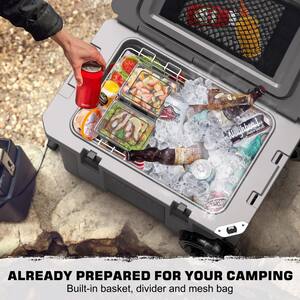 M MASSIMO MOTOR E-Kooler 32 qt. Electric Portable Cooler Mini Fridge ...