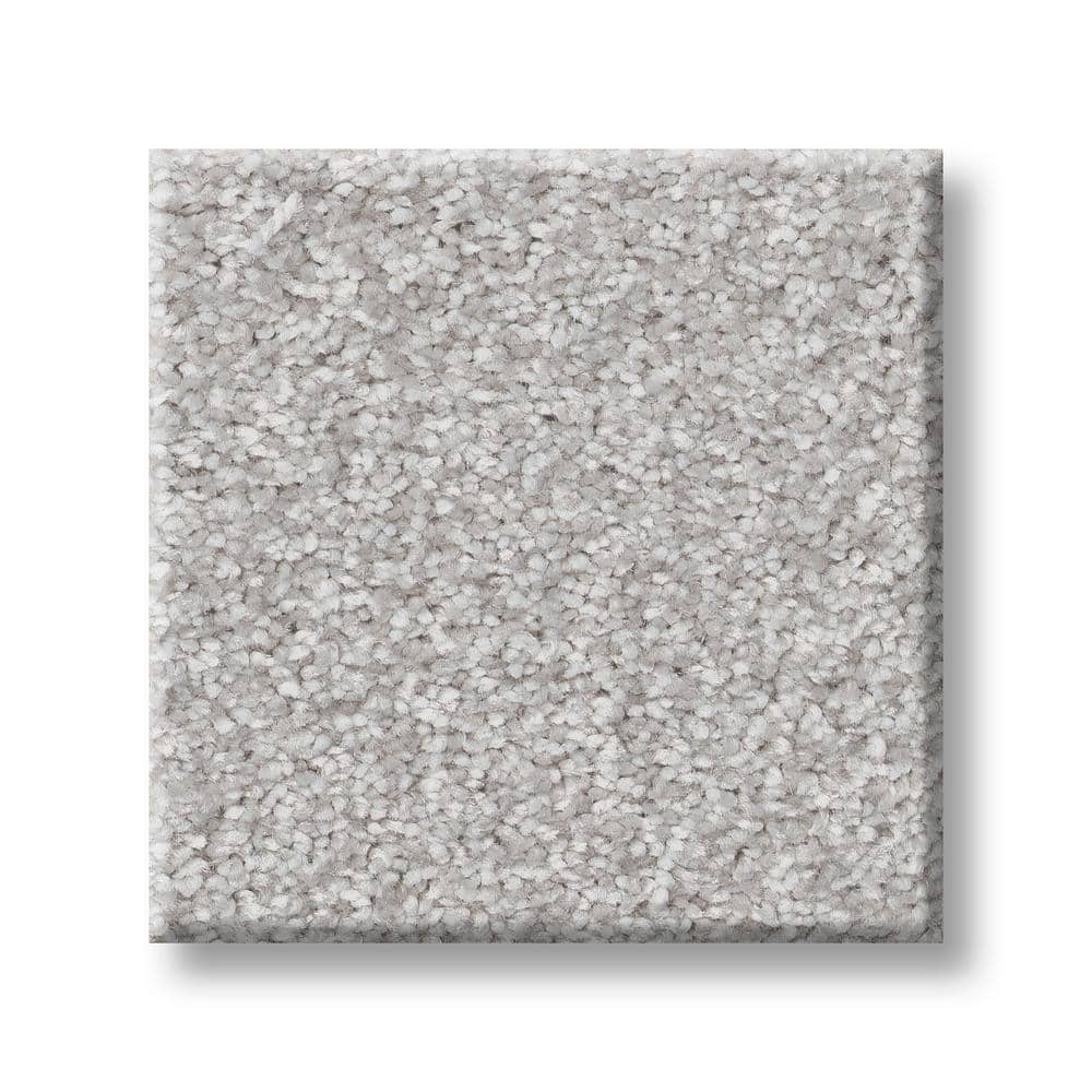 Lifeproof 8 in. x 8 in. Texture Carpet Sample - Rosemary III -Color ...
