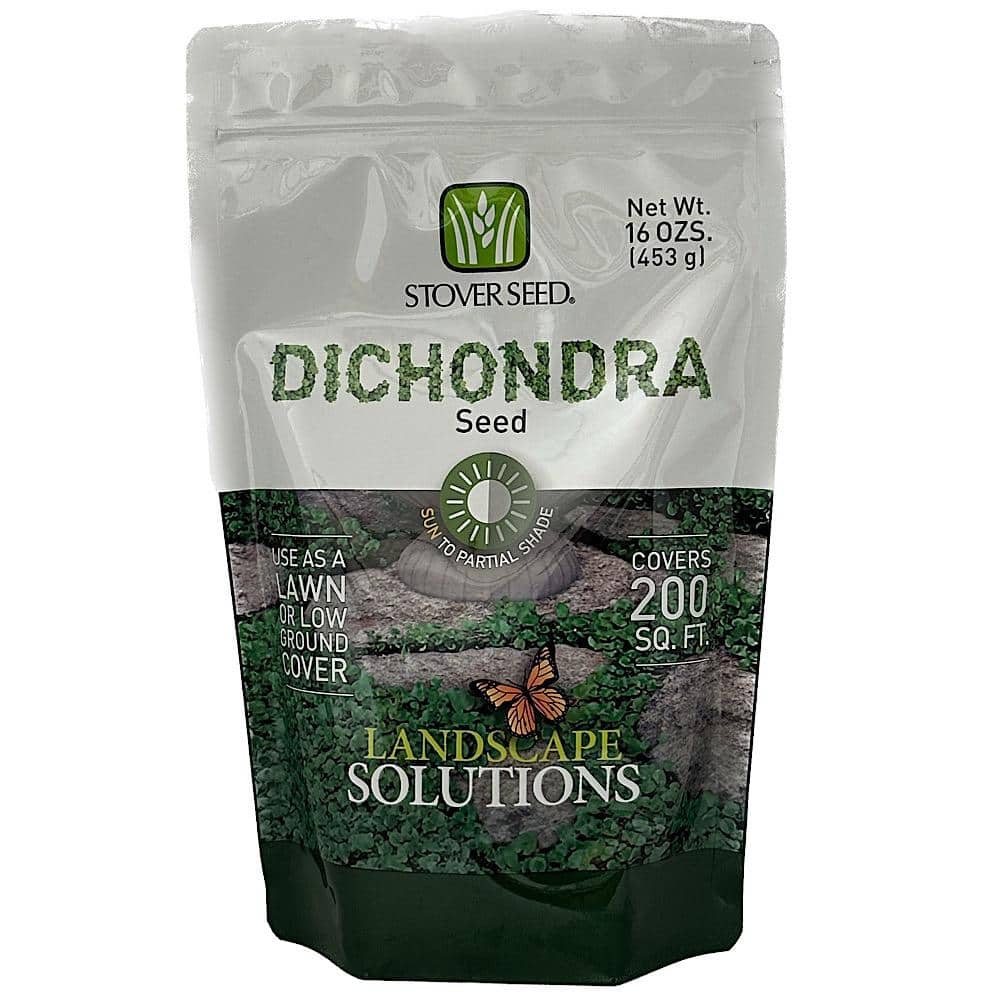 Dichondra Ground Cover Dichondra Repens - 3 000 Bulk Seeds Dichondra ...