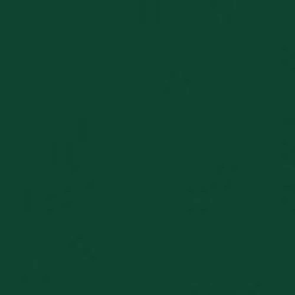 Clopay 5 in. x 2.5 in. Steel Garage Door Color Sample in Hunter Green ...