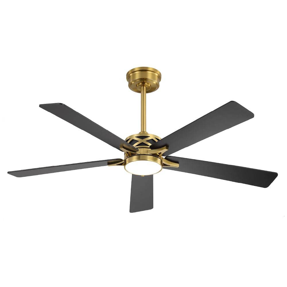 MLiAN 52 in. Smart Indoor 5-Blades Black and Gold DC Motor Ceiling Fan ...